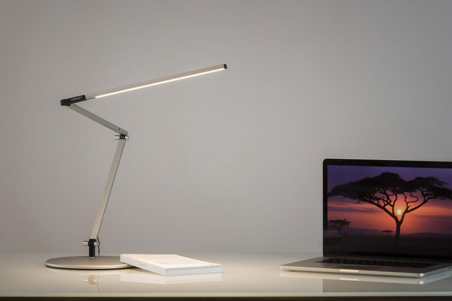 10 Essential Lamp Types for your space - Lamping Home